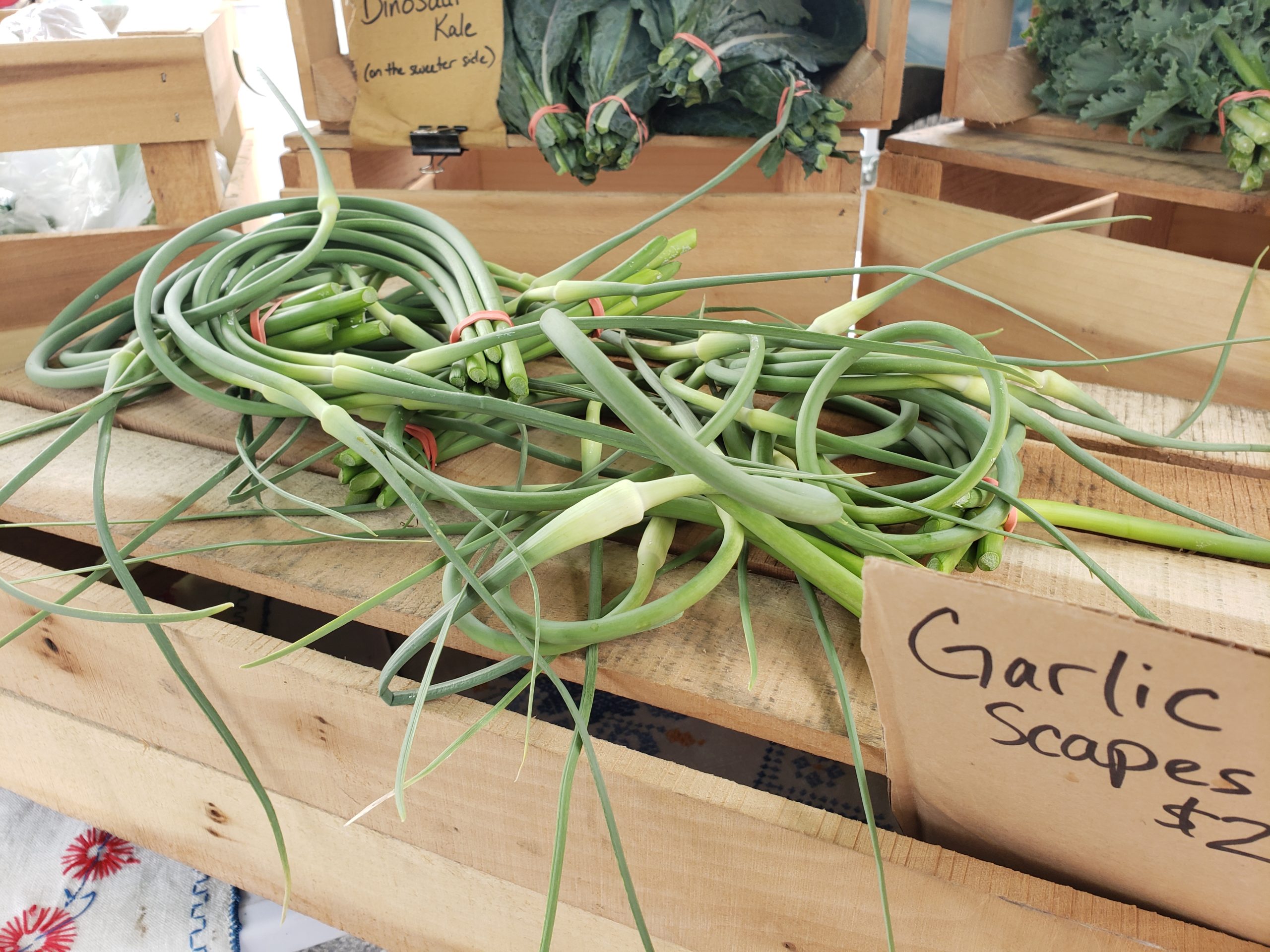 What is this Long Curled Vegetable that looks like a Green Bean? Garlic ...